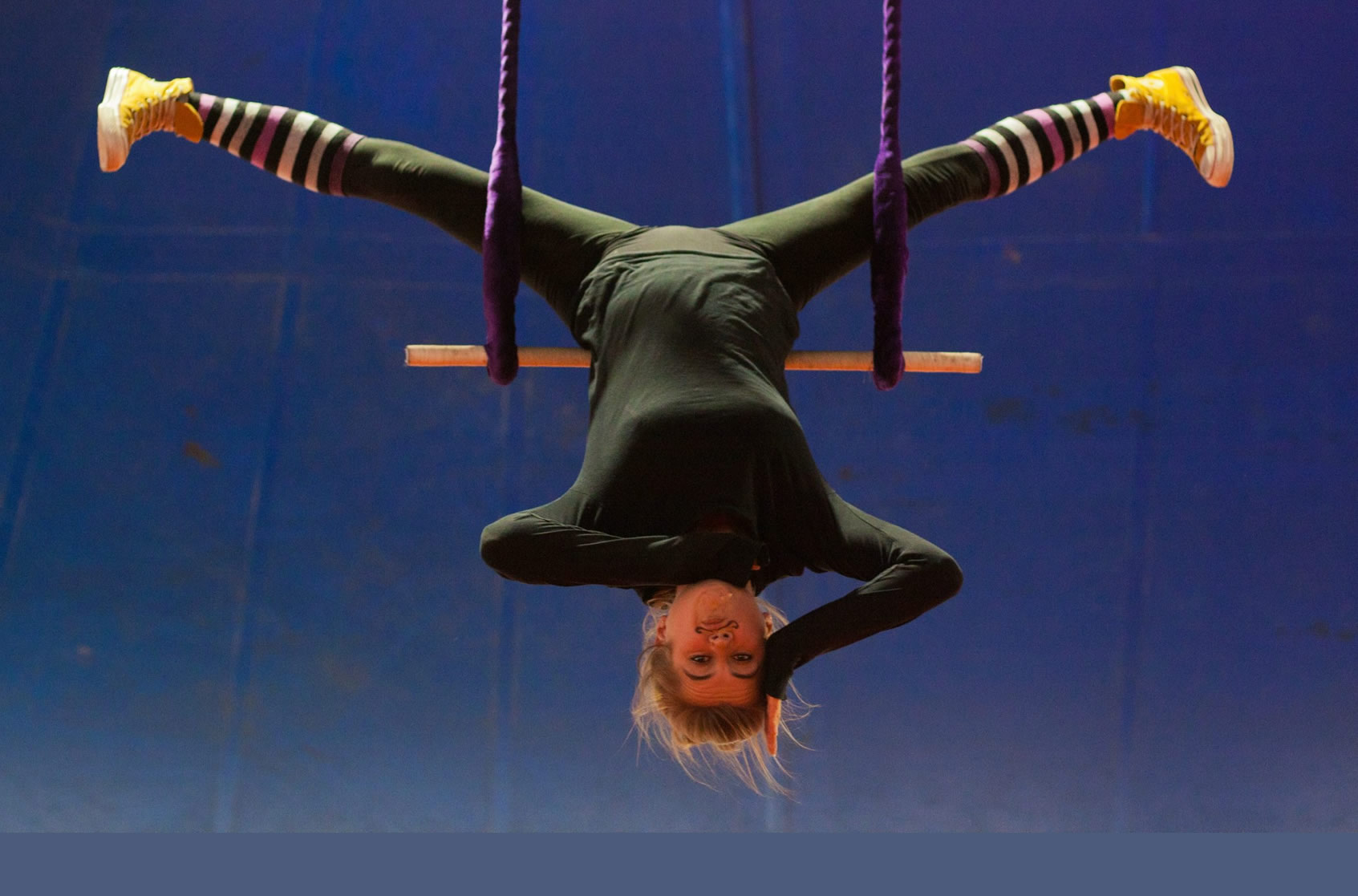 Spinal Chord :: Trapeze & Aerial Dance Classes for the new circus ...